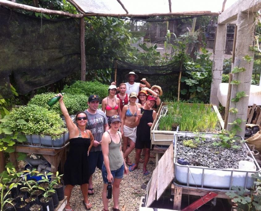 Aquaponics and Sustainable Living Internship – Taíno Farm