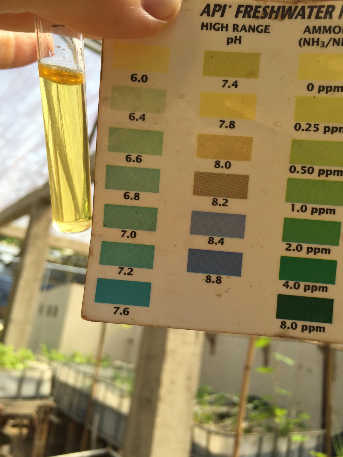 3 Important Steps to Build a NFT Hydroponics System – Taíno Farm