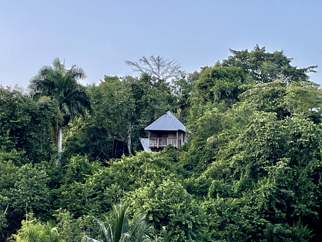 Welcome to Taíno Farm • tainofarm.com - Taíno Farm