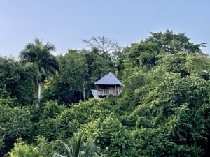 Welcome to Taíno Farm • tainofarm.com - Taíno Farm