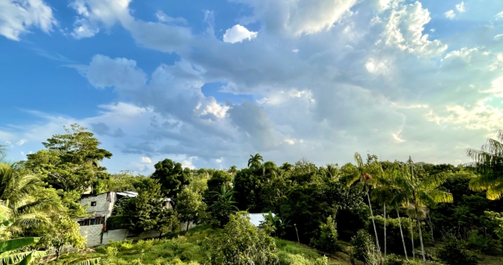 Welcome to Taíno Farm • tainofarm.com - Taíno Farm