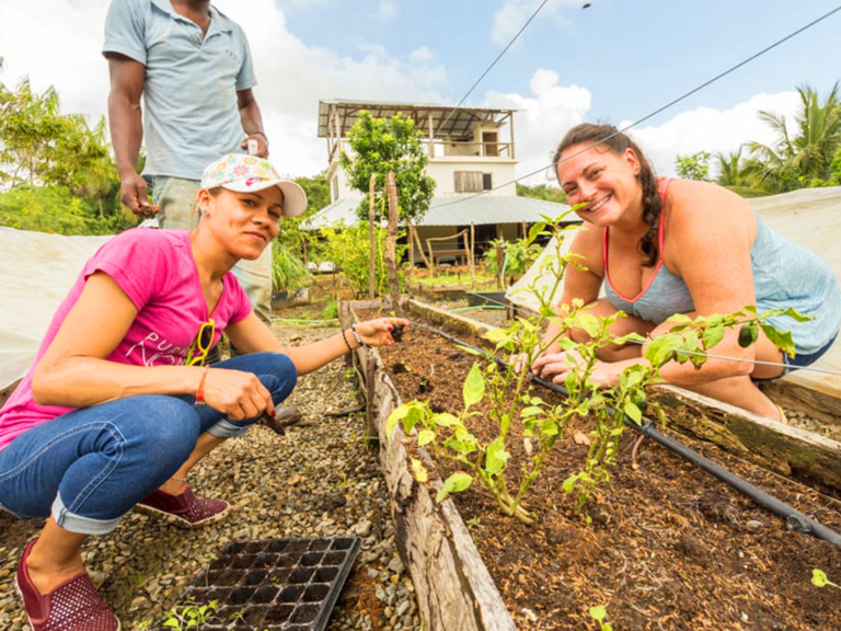 Taíno Farm – Aquaponics and Permaculture in the Dominican Republic