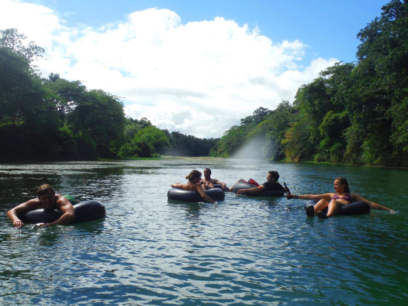 Welcome to Taíno Farm • tainofarm.com - Taíno Farm