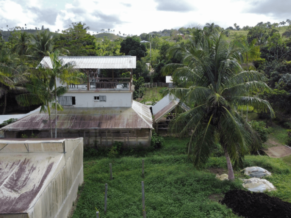 Taíno Farm – Aquaponics and Permaculture in the Dominican Republic