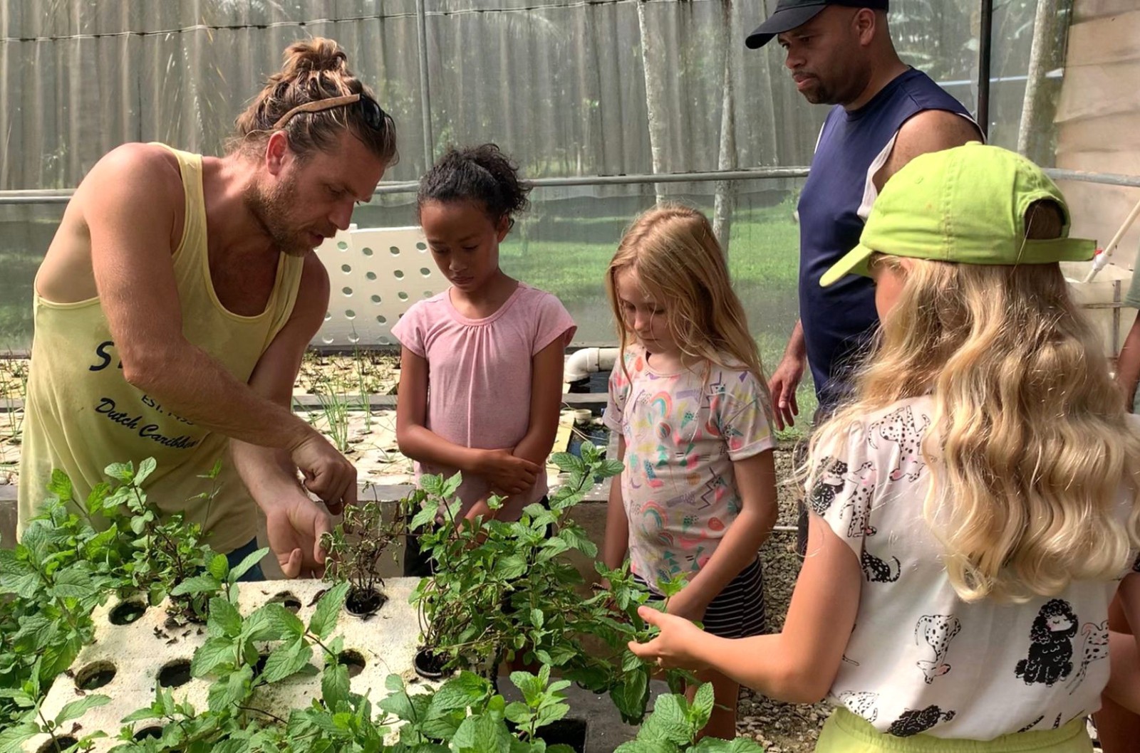 Taíno Farm – Aquaponics and Permaculture in the Dominican Republic