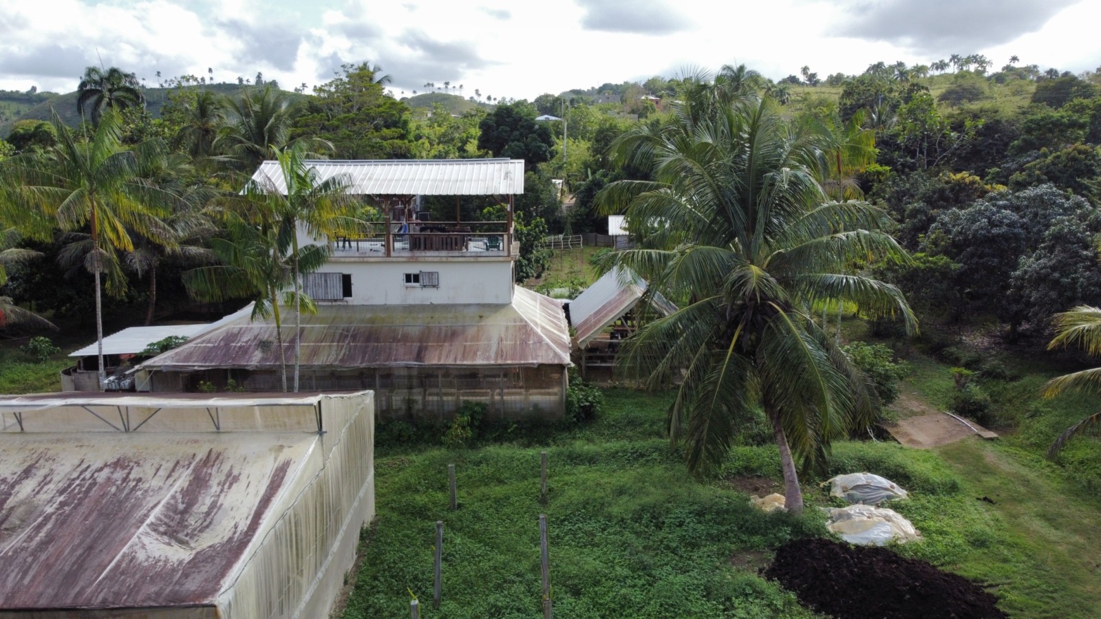 Holidays at Taíno Farm – Taíno Farm