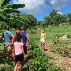 Tour adults – Taíno Farm