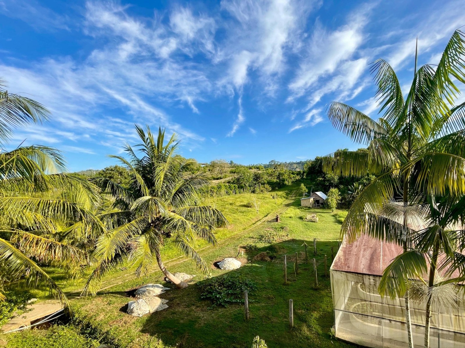 Top things to do in Cabarete – Taíno Farm
