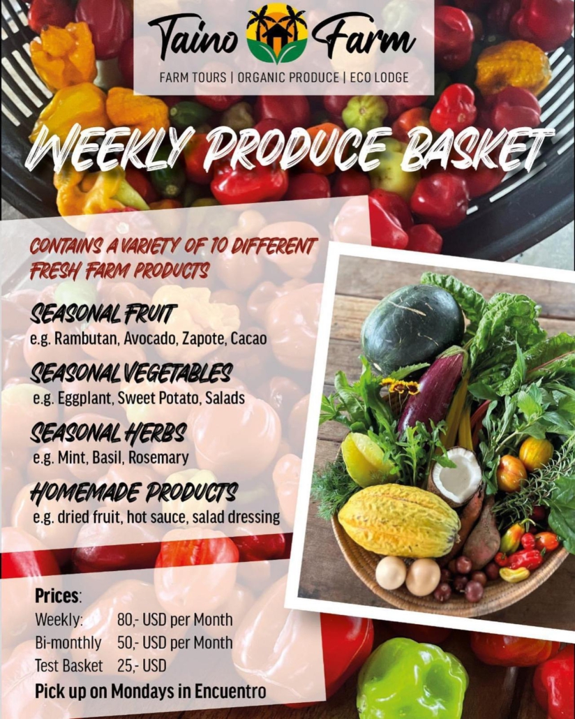 Taíno Farm – Aquaponics and Permaculture in the Dominican Republic