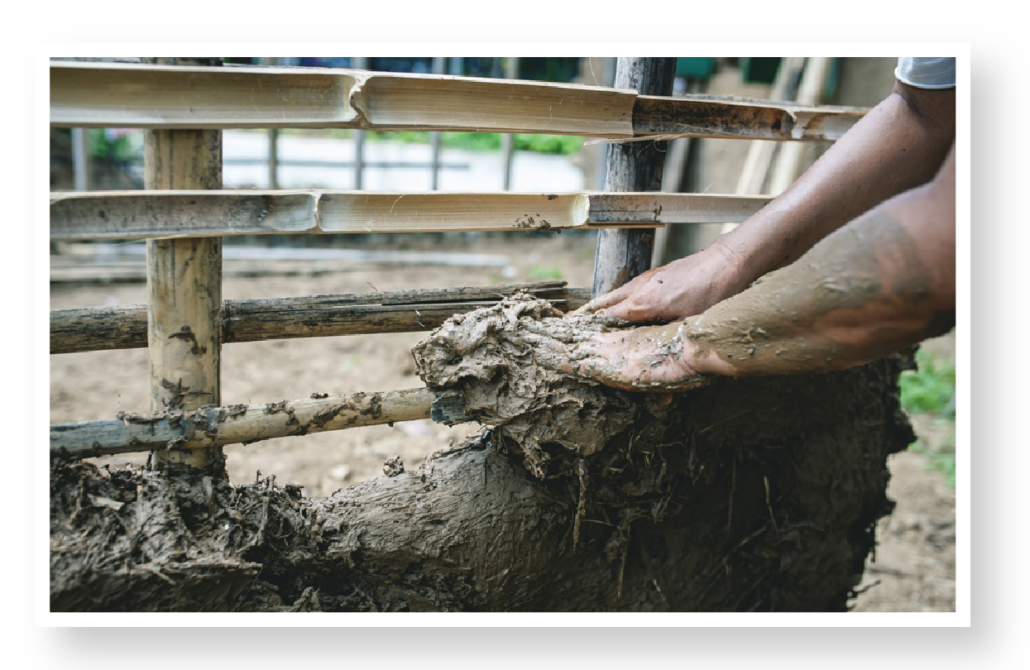 Taíno Farm – Aquaponics and Permaculture in the Dominican Republic