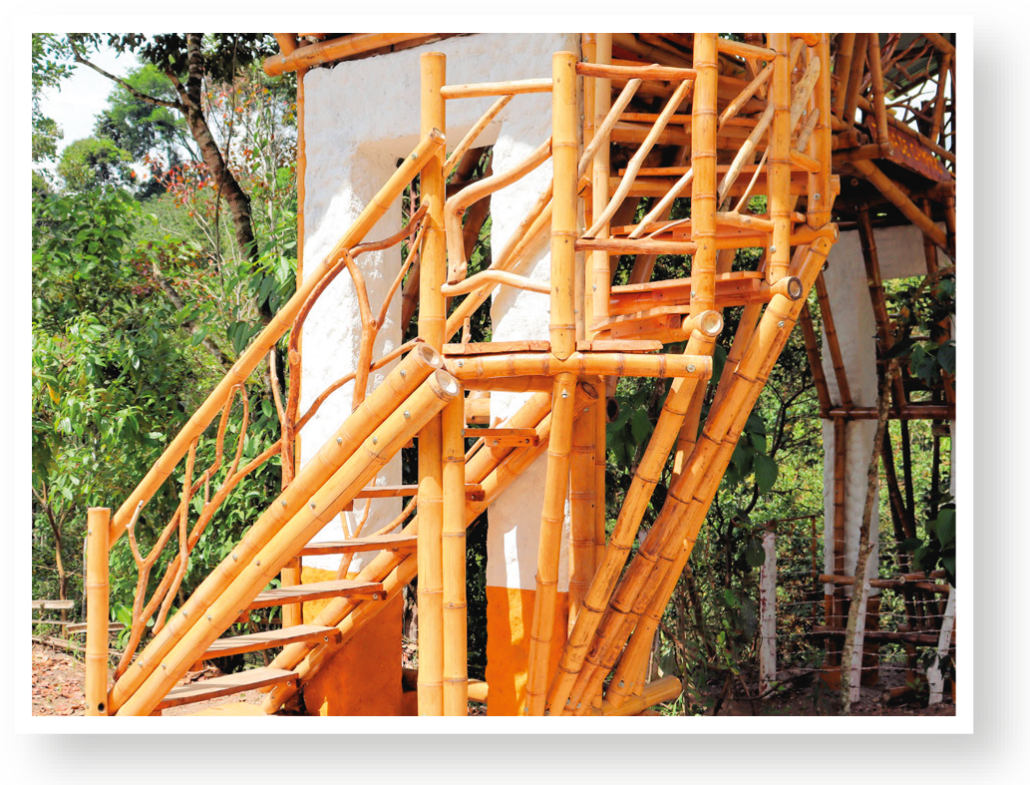 Taíno Farm – Aquaponics and Permaculture in the Dominican Republic